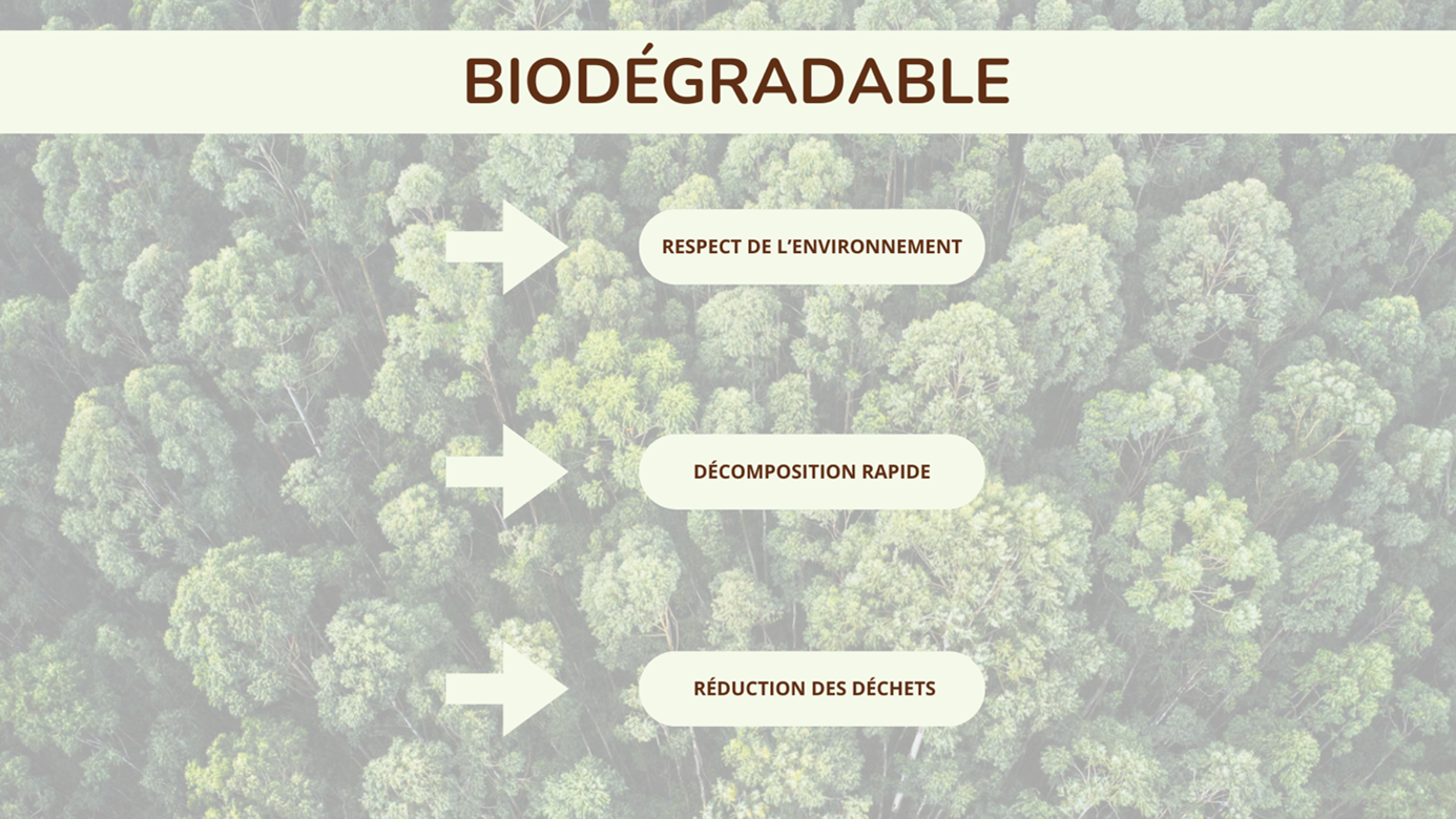 BIODEGRADABLE - Bordeaux Emballages - Emballages Alimentaires